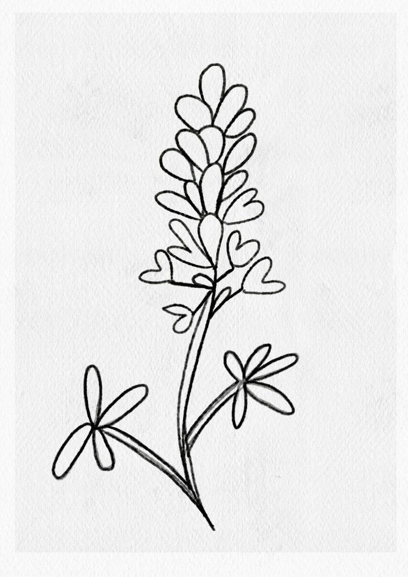 Bluebonnet Coloring Page - Etsy