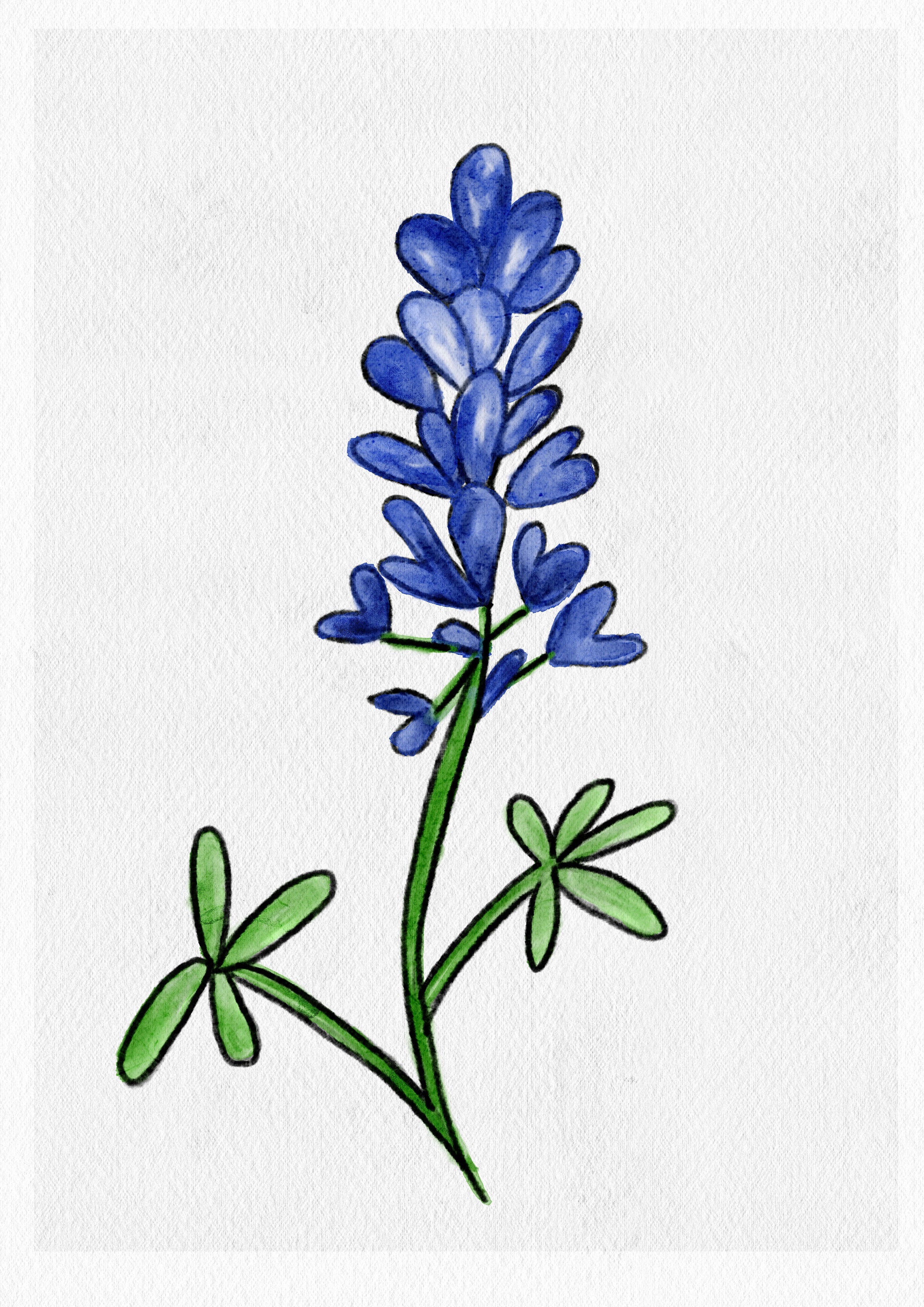 Texas Bluebonnet Digital Art Print - Etsy