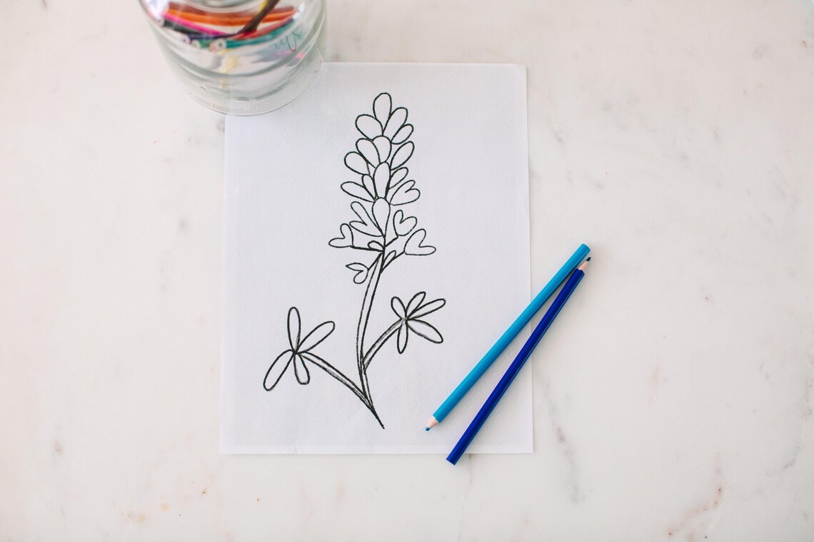 Bluebonnet Coloring Page - Etsy