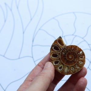 Paper Pattern and Tutorial - Stained Glass - Ammonite Fossil - Option ...
