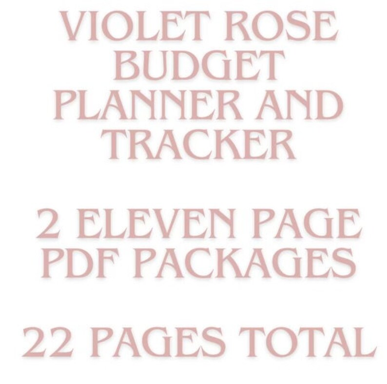 Colorful Finance Planner Printable, PDF, Paycheck Budget, Budget ...