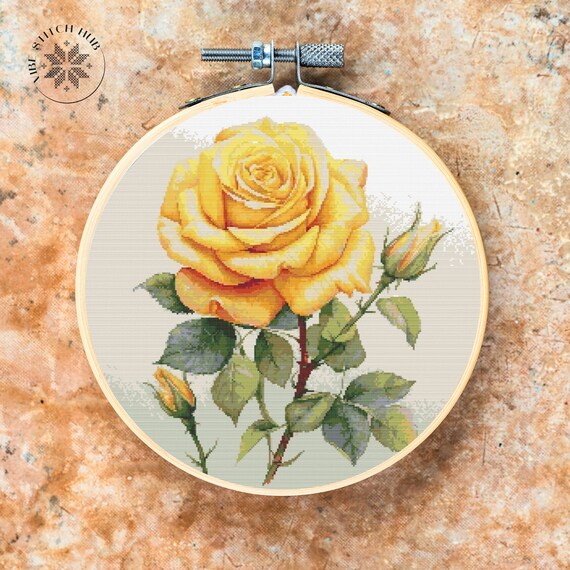 Yellow Rose Pattern