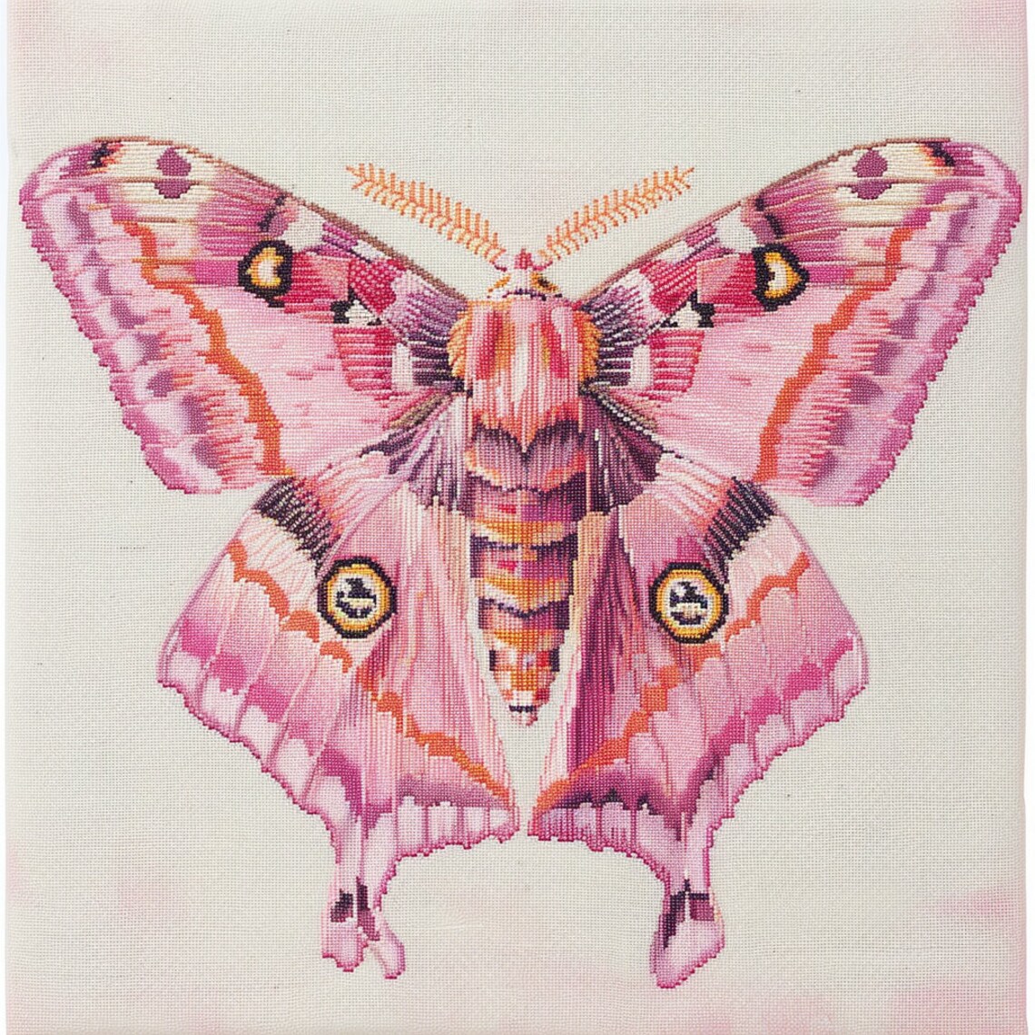 Pink Moth Butterfly Cross Stitch Pattern, Modern Cross Stitch Designs ...