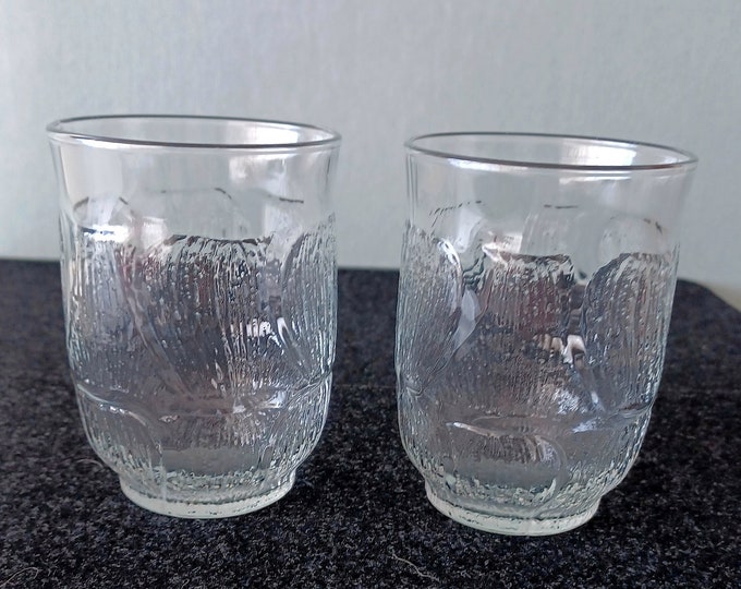 Vintage Arcoroc Aspen Fleur Glasses, Set of 2, 1970's Glasses Flower ...