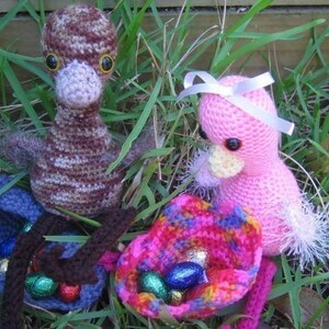 Emu Chicks and Egg Shell Crochet Pattern - Etsy