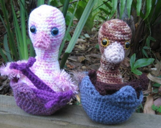 Emu Chicks and Egg Shell Crochet Pattern - Etsy