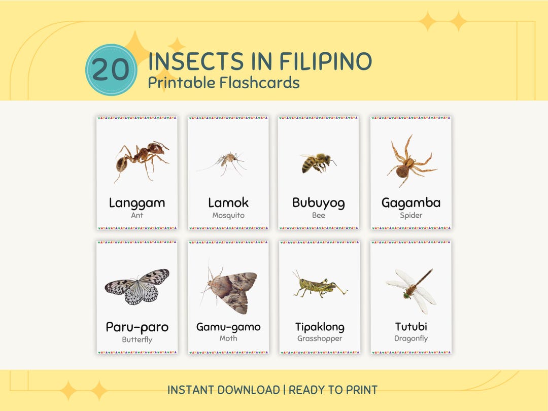 Filipino Insects Printable Flashcards for Kids & Toddlers, Bugs Digital ...