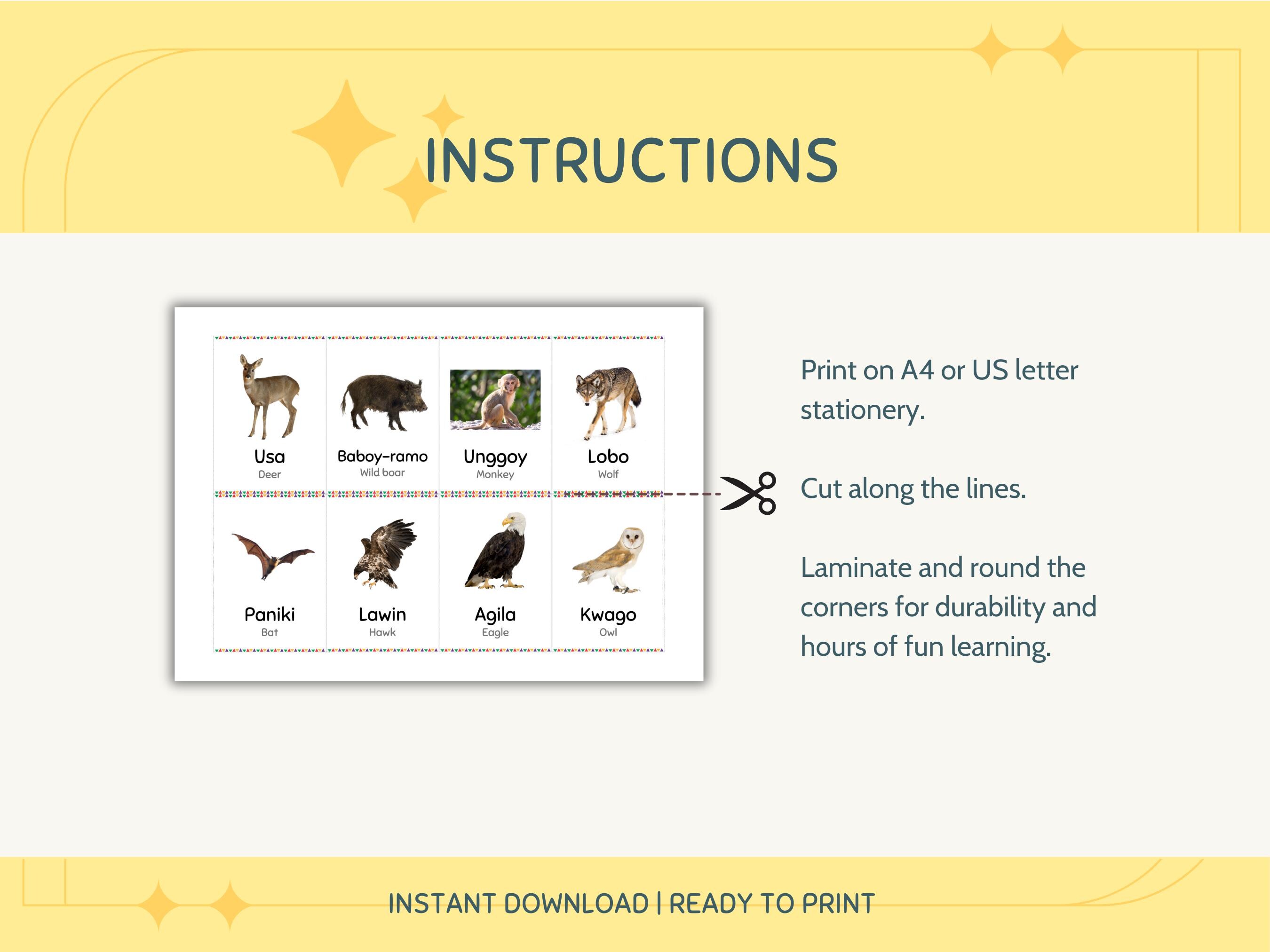 Filipino Animals Flashcards for Kids Printable Flashcards in Tagalog ...