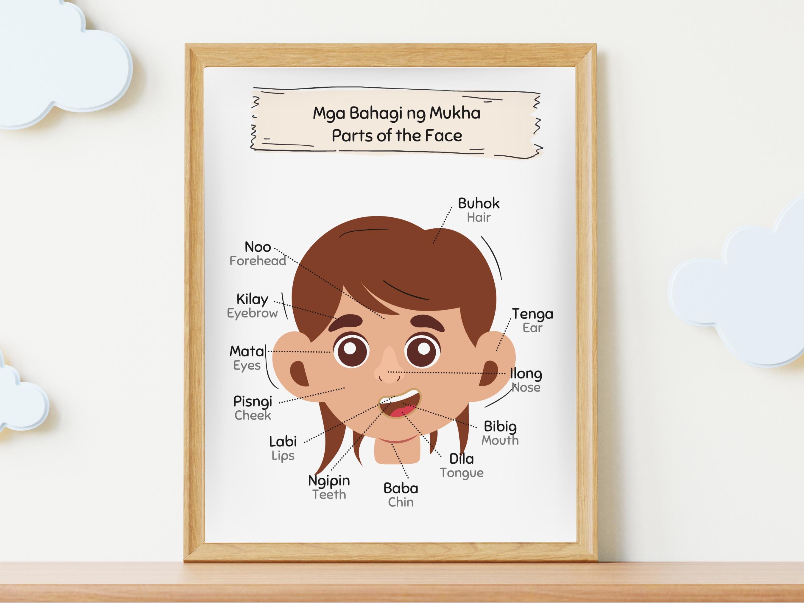 Printable Filipino Parts of the Body & Head Posters for Toddlers and ...