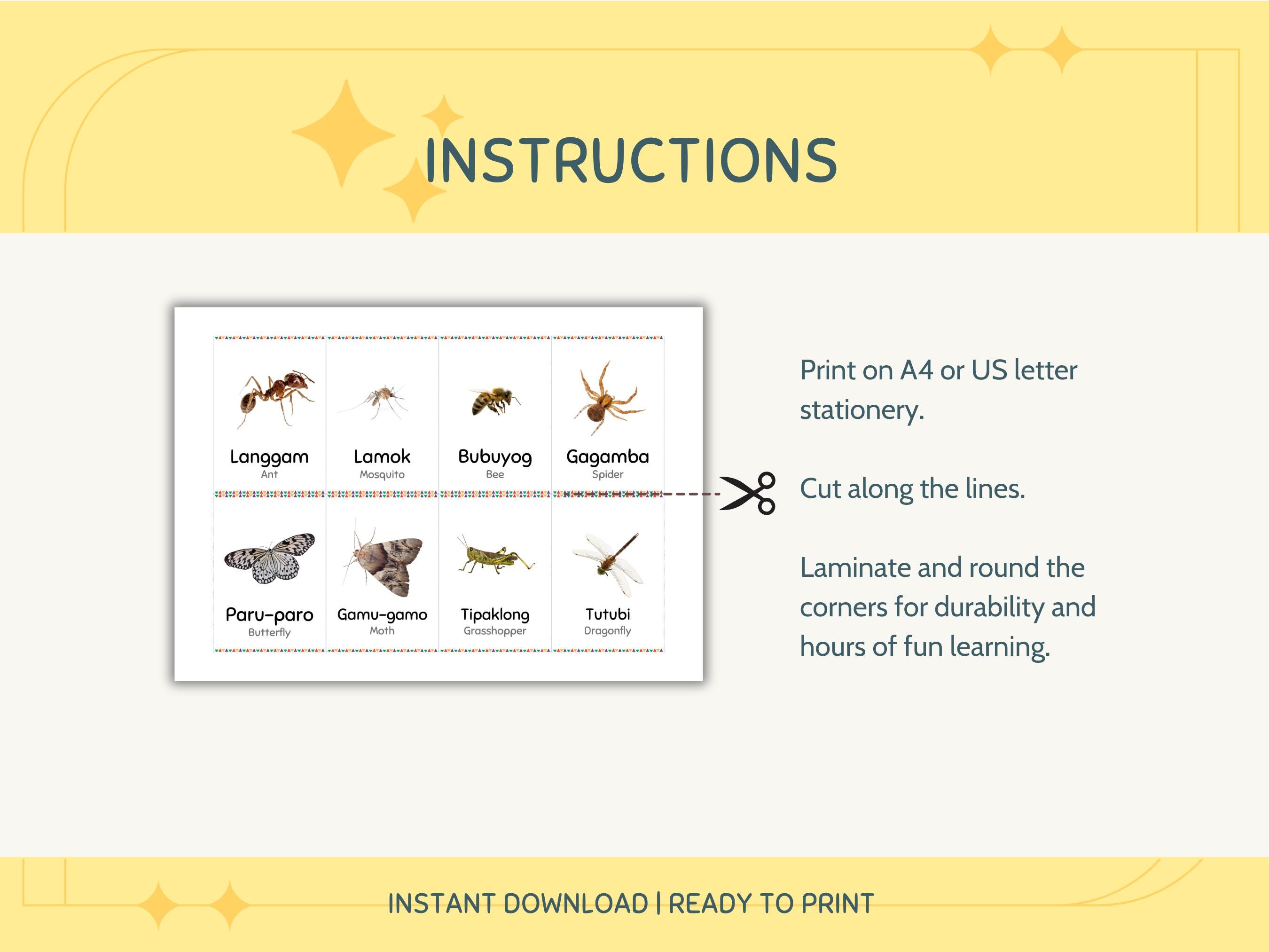 Filipino Insects Printable Flashcards for Kids & Toddlers, Bugs Digital ...