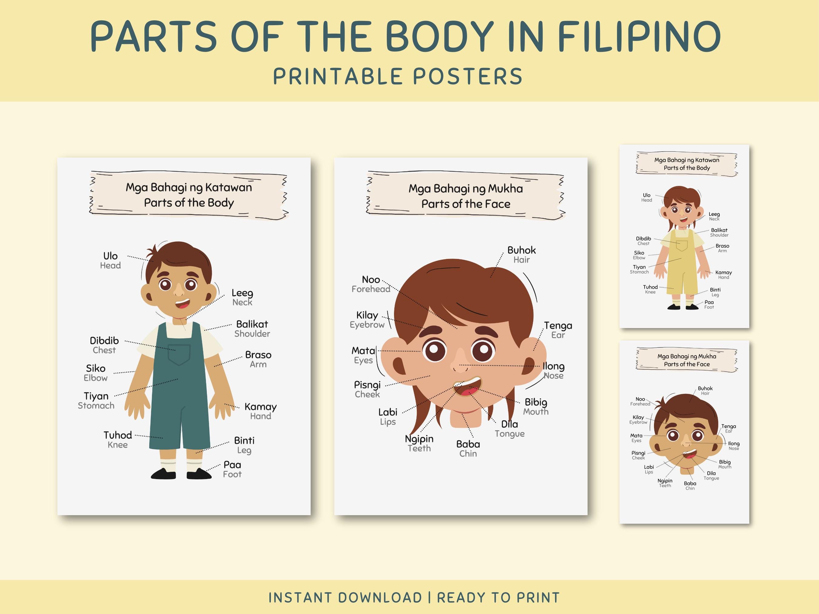 Printable Filipino Parts of the Body & Head Posters for Toddlers and ...