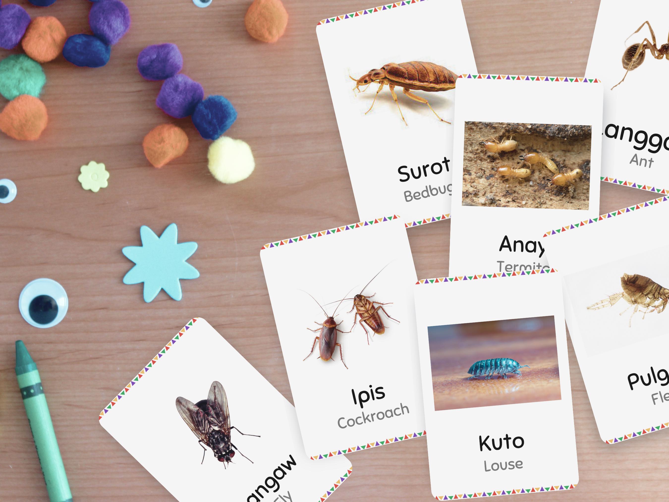 Filipino Insects Printable Flashcards for Kids & Toddlers, Bugs Digital ...