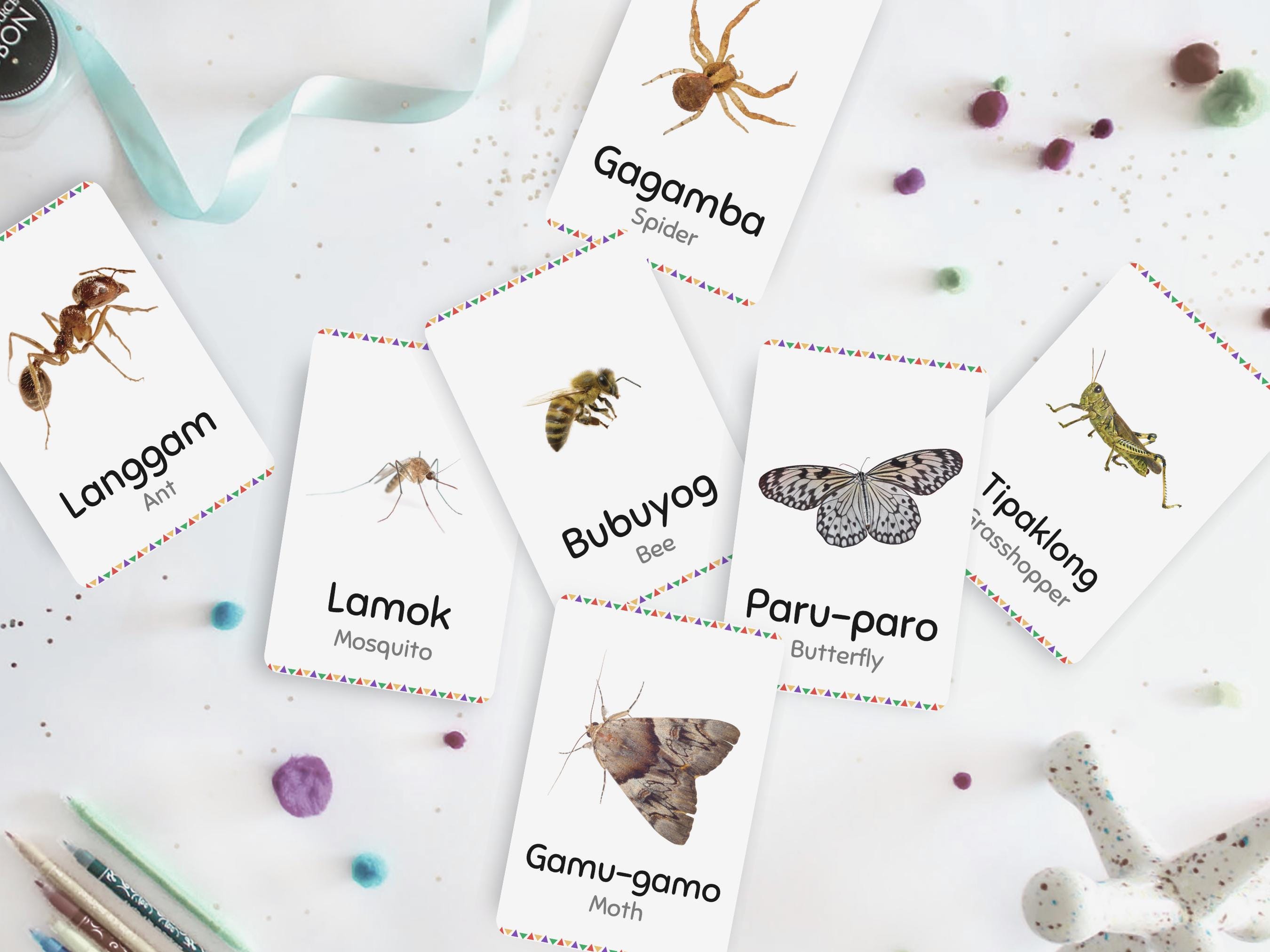 Filipino Insects Printable Flashcards for Kids & Toddlers, Bugs Digital ...