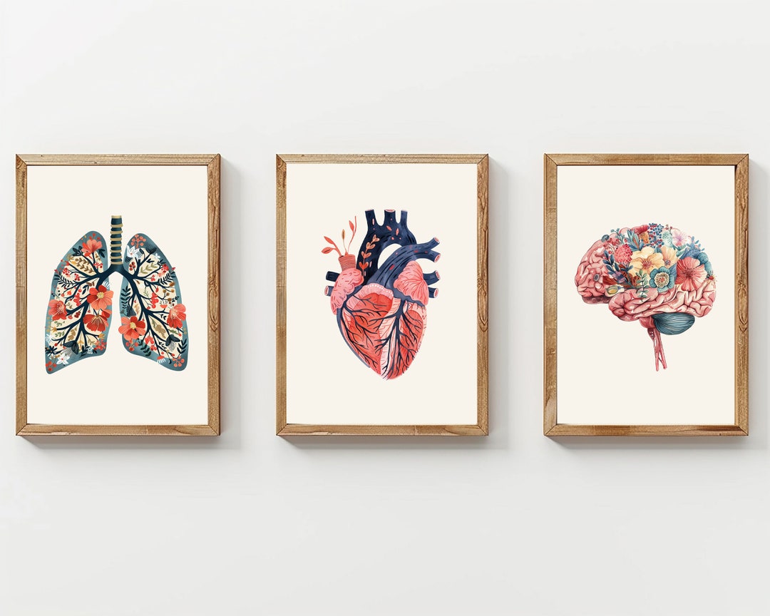 Human Anatomy Wall Art, Floral Heart, Brain, Lungs, Printable Wall ...