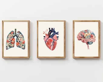 Human Heart With Flowers Art Anatomical Human Heart Wall Art Medical ...