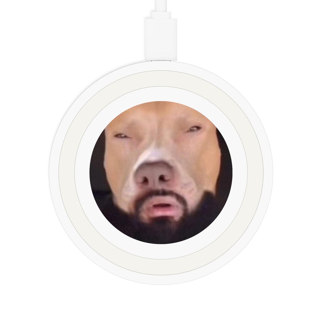Funny Prank Wireless Charging Pad, Brain Rot John Pork Troll Design ...