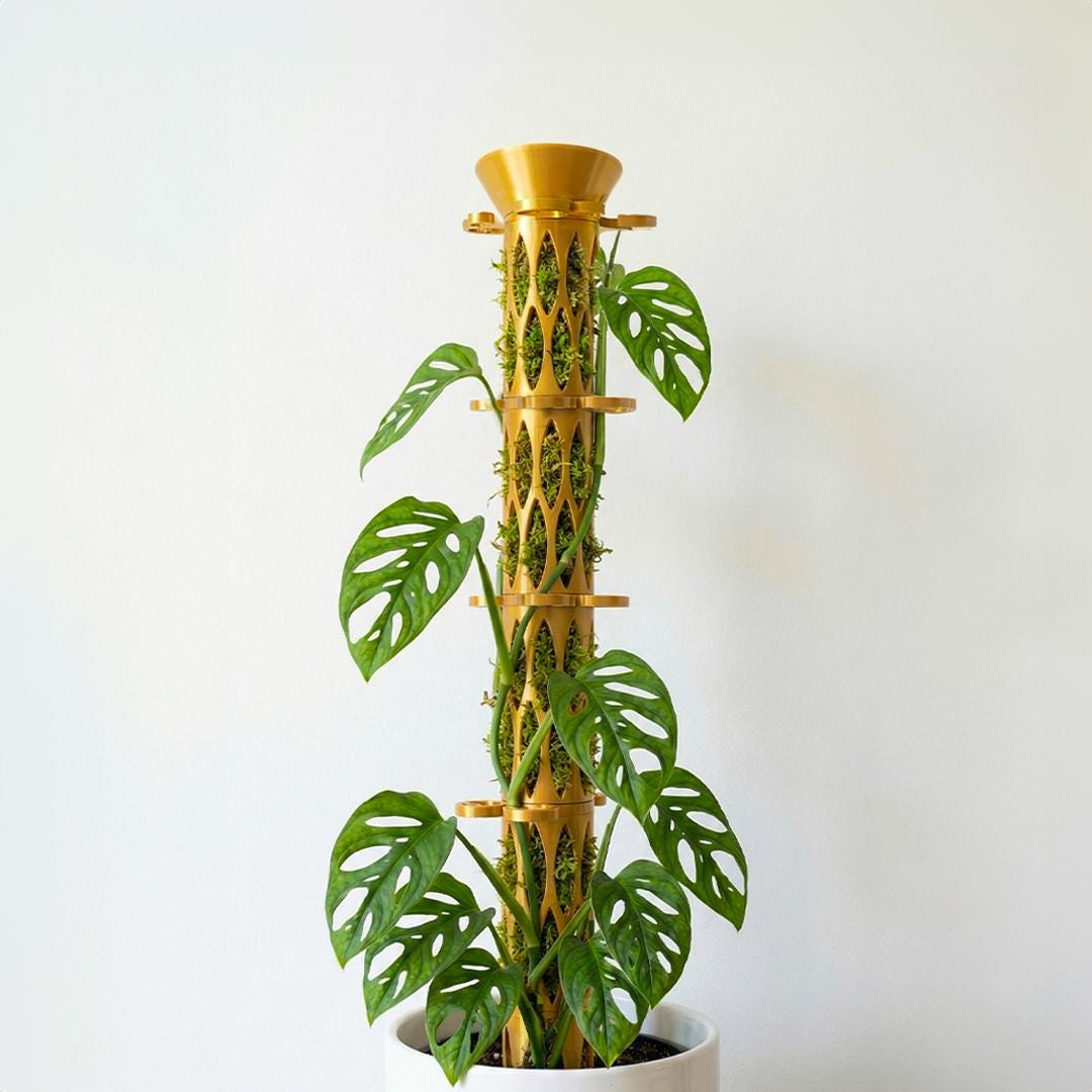 Buildable Moss Pole System Set 1.5 in Dia. With Short Bodies and Leafy ...