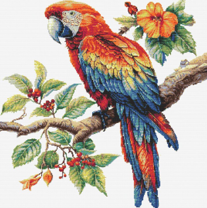 Parrot Cross Stitch Embroidery Pattern, Beginners Hand Cross Stitch ...
