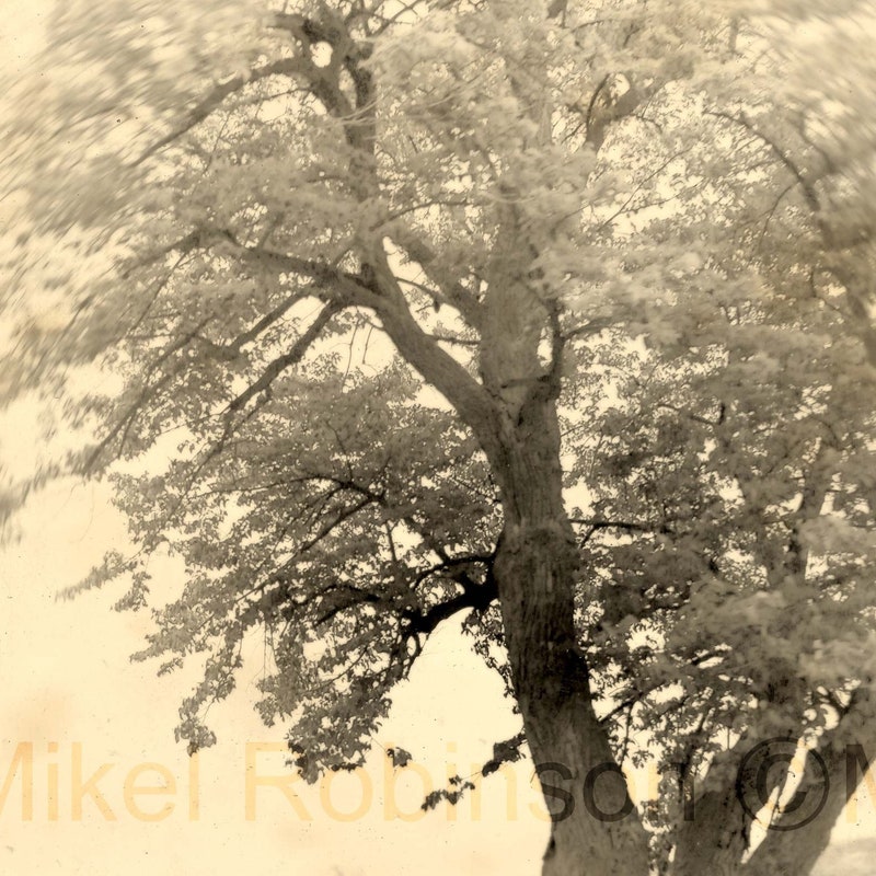 MikelRobinson - Etsy