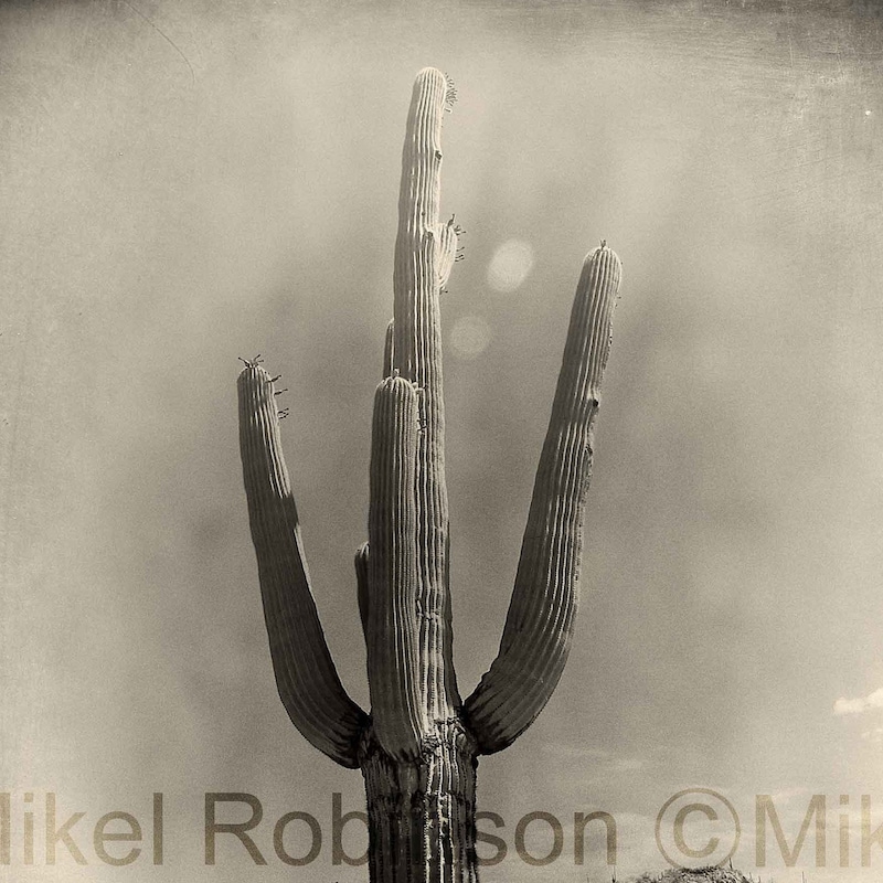 MikelRobinson - Etsy