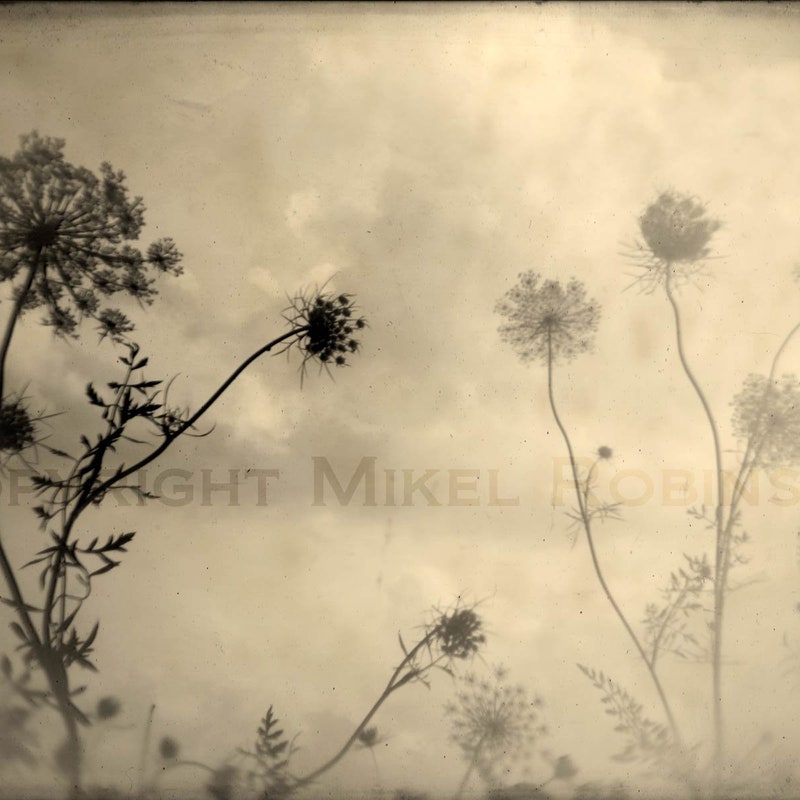 MikelRobinson - Etsy