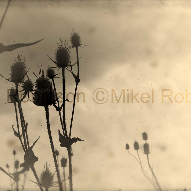 MikelRobinson - Etsy