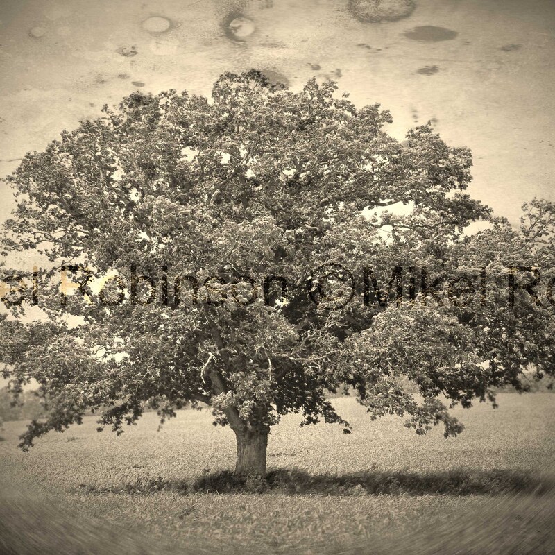 MikelRobinson - Etsy