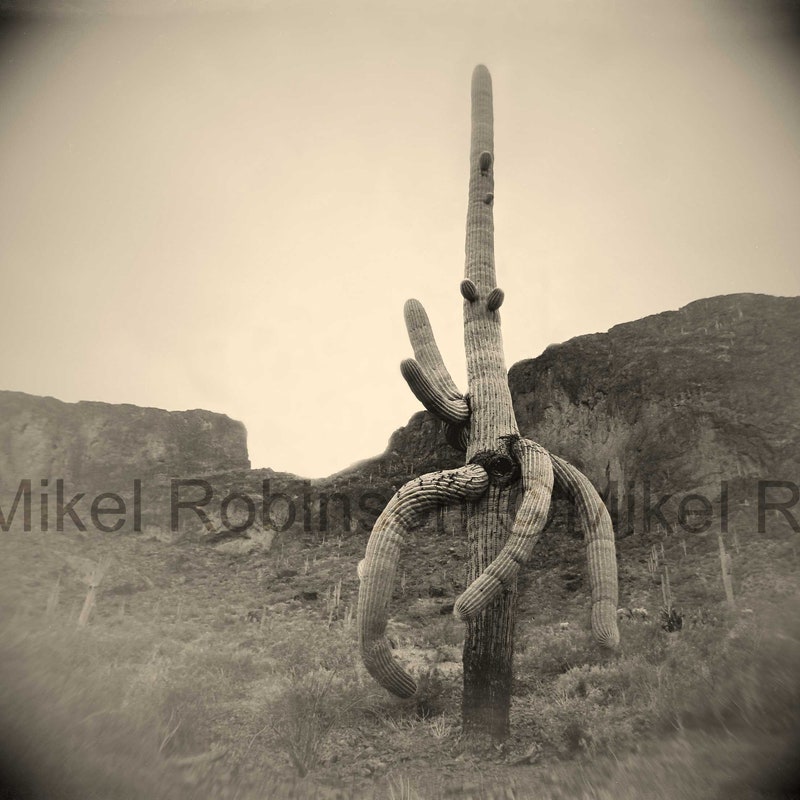 MikelRobinson - Etsy