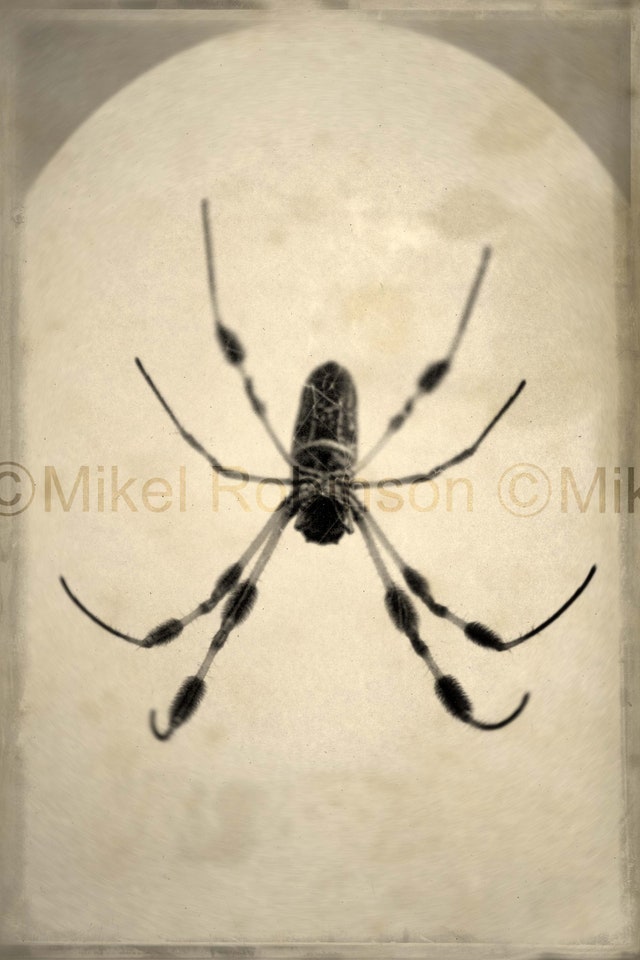 MikelRobinson - Etsy