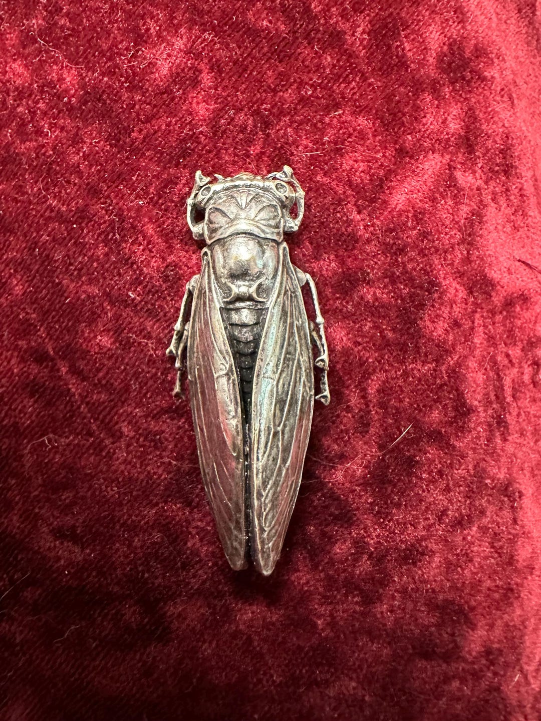 Silver Plate Antique Cicada Pin Very Detailed 2” Wide X 7/8” High - Etsy