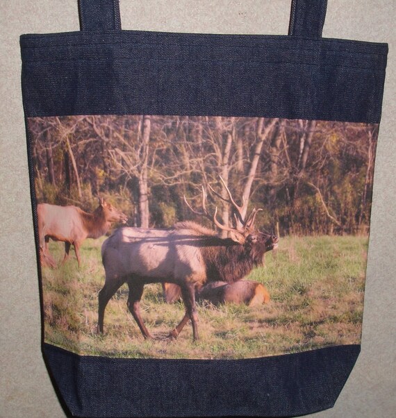 New Handmade Bull Elk Wildlife Original Photo Photograph | Etsy