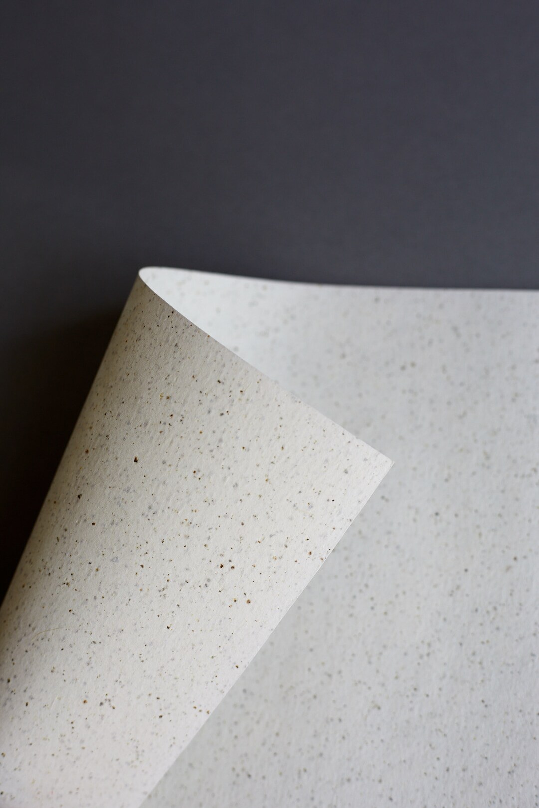 Seaweed Paper 140gsm Artisan A4 X 10 Sheets for Printing | Packaging ...