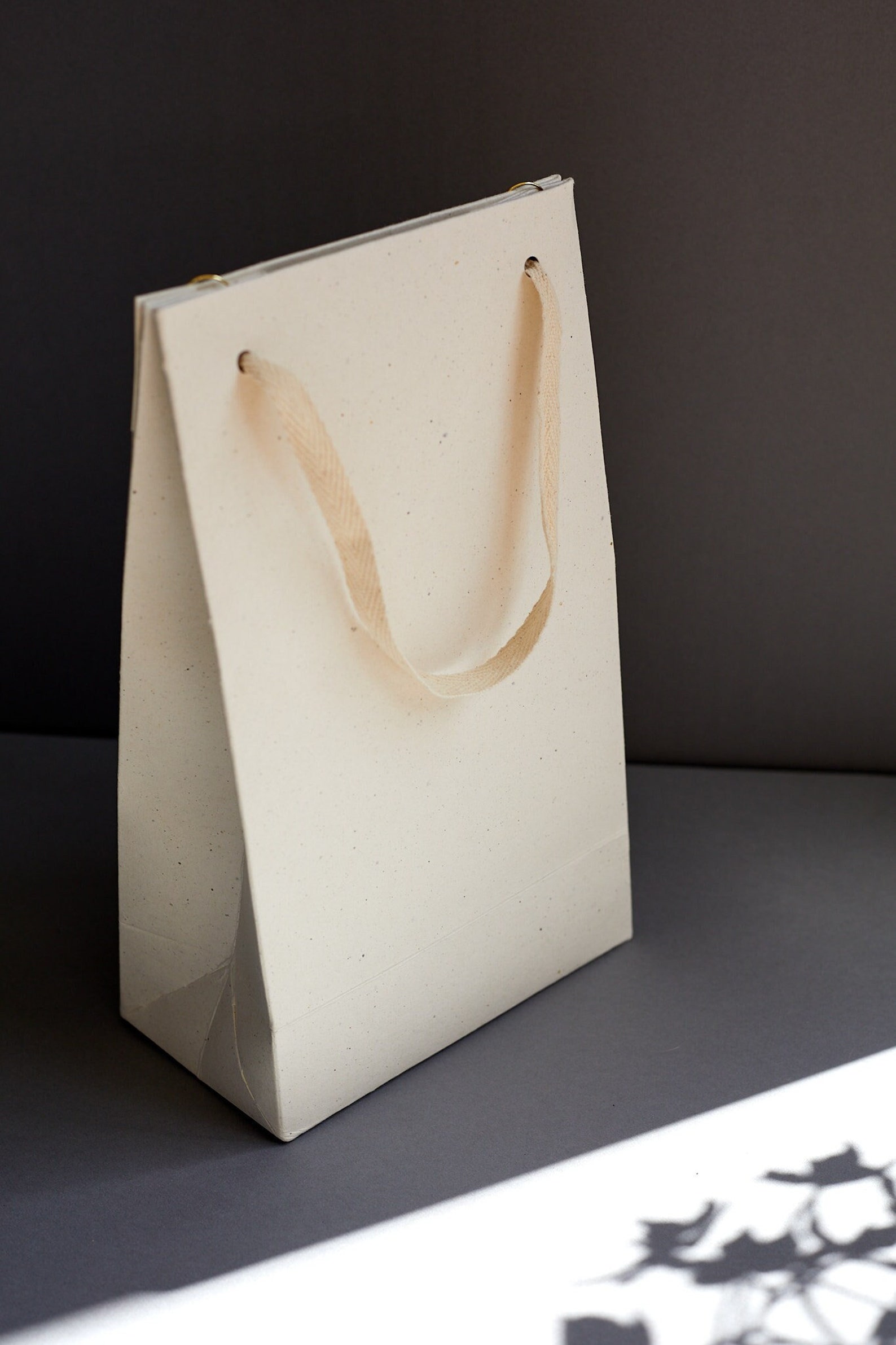 Seaweed Paper Bags With Handles X10 for Printing | Packaging | Gifting ...