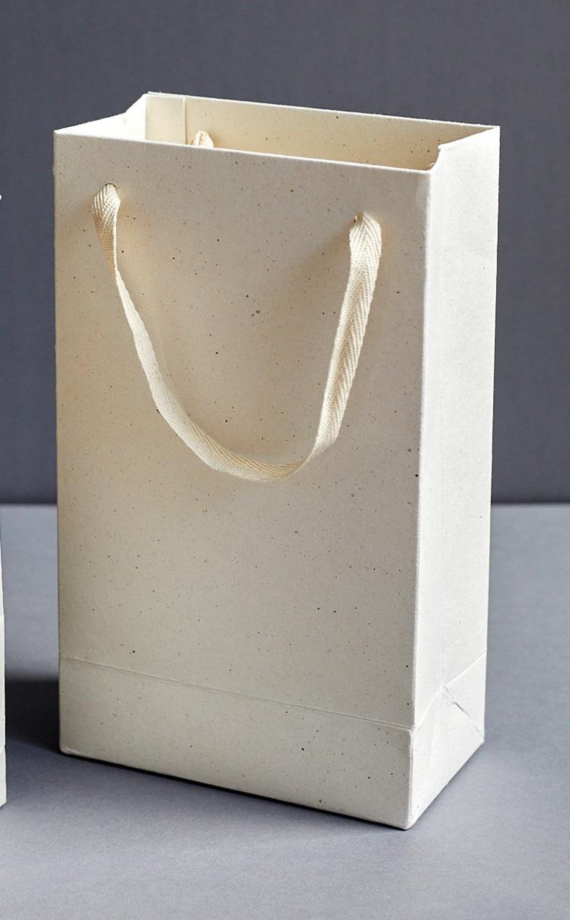 Seaweed Paper Bags With Handles X10 for Printing | Packaging | Gifting ...