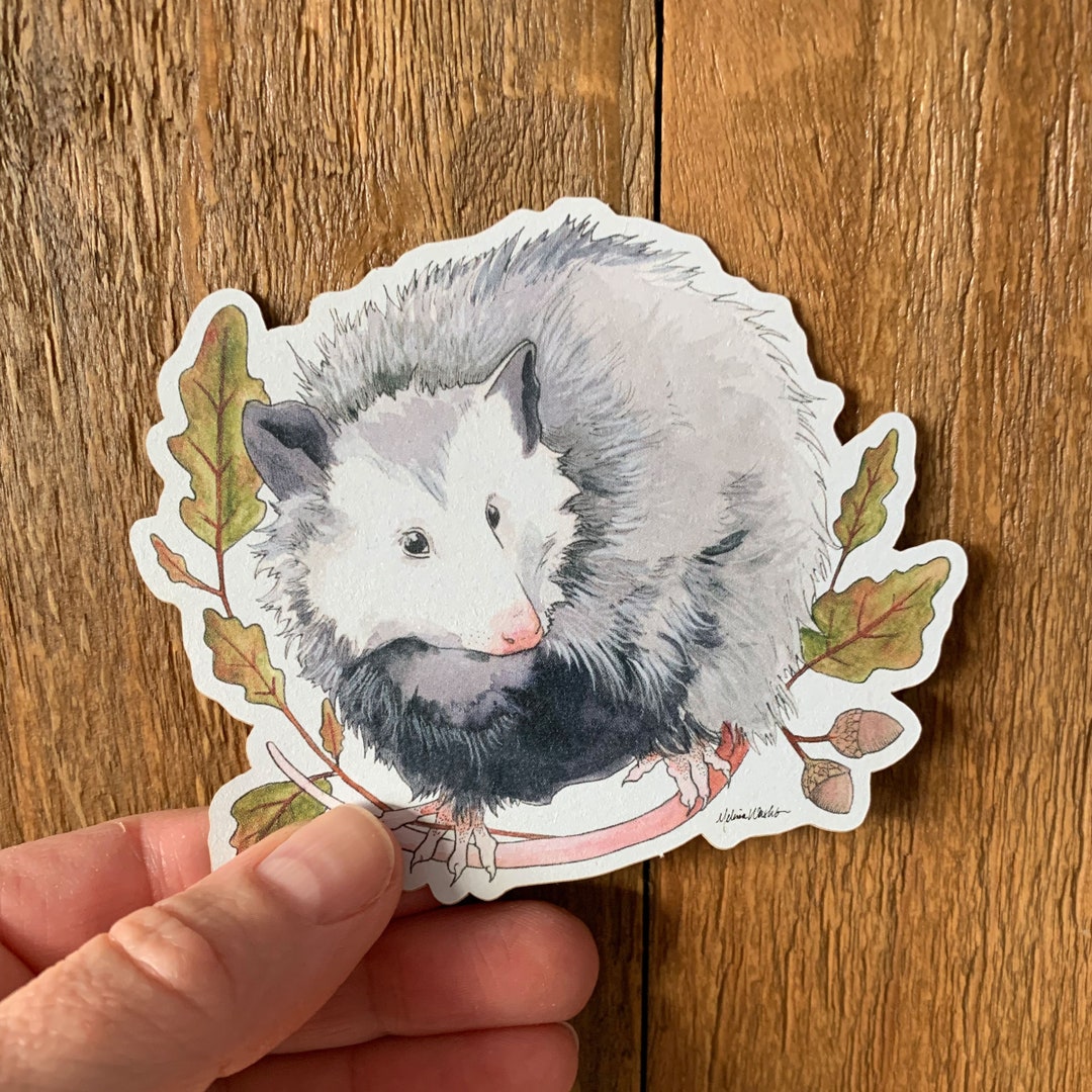 Eco-friendly Possum Sticker - Etsy