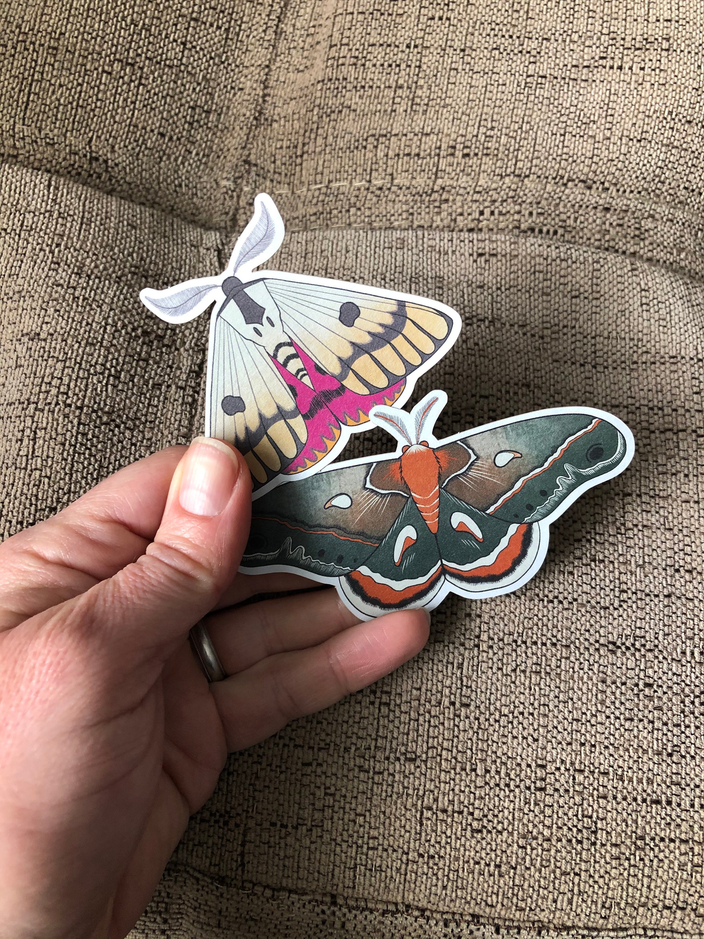 Eco-friendly Moth Stickers Cecropia or Underwing FREE SHIPPING | Etsy