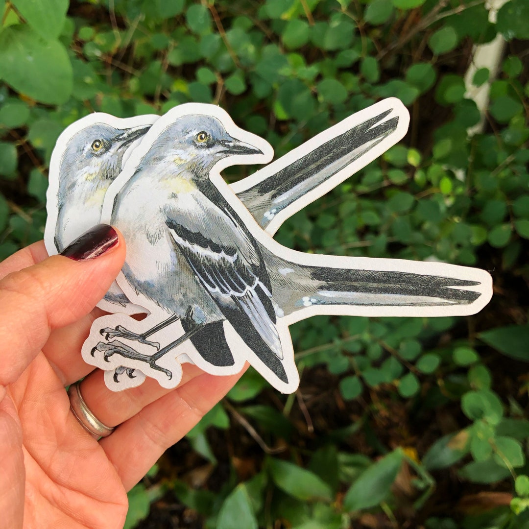 Eco-friendly Bird Sticker Mockingbird Sticker FREE SHIPPING - Etsy