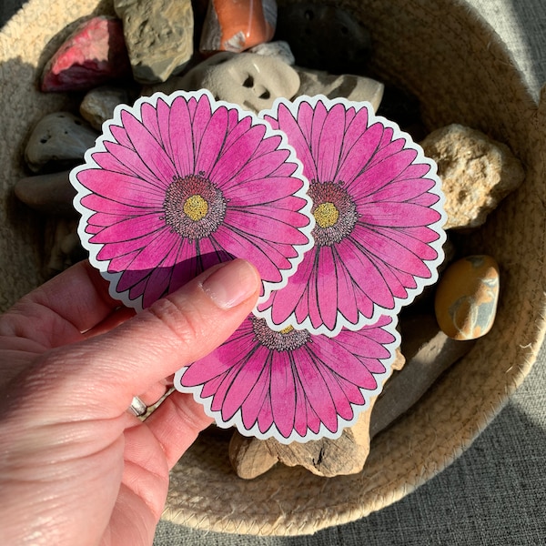 Orange Gerbera Daisy - Etsy