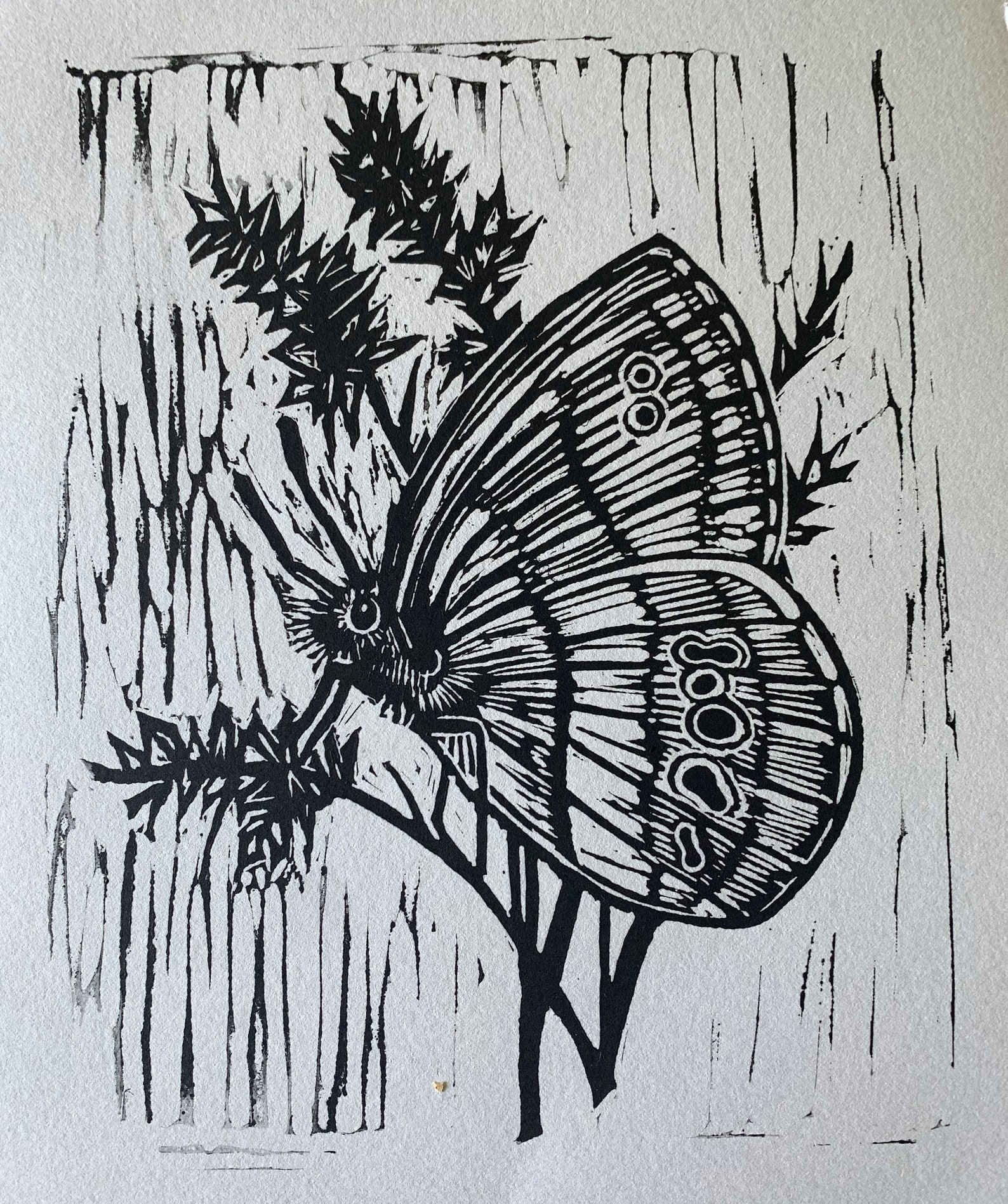 Mitchell's Satyr Butterfly Linocut Print on Grey - Etsy