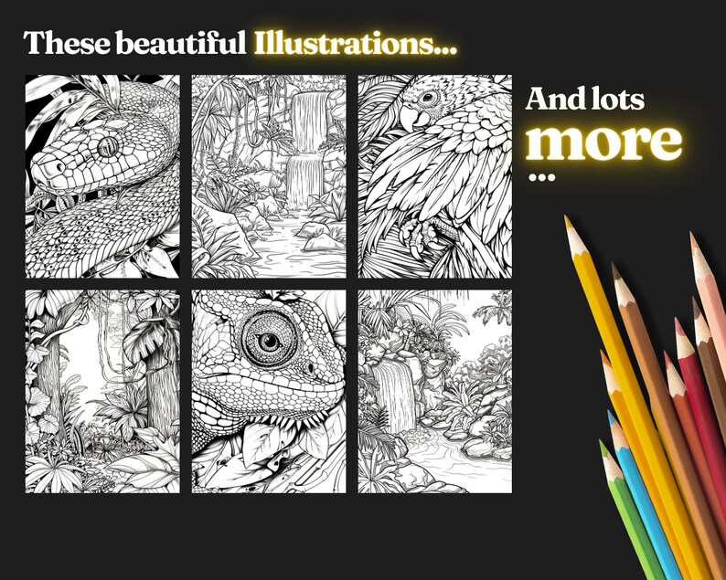 Jungle Coloring Book - 50 Jungle Coloring Pages for Adults & Teens ...