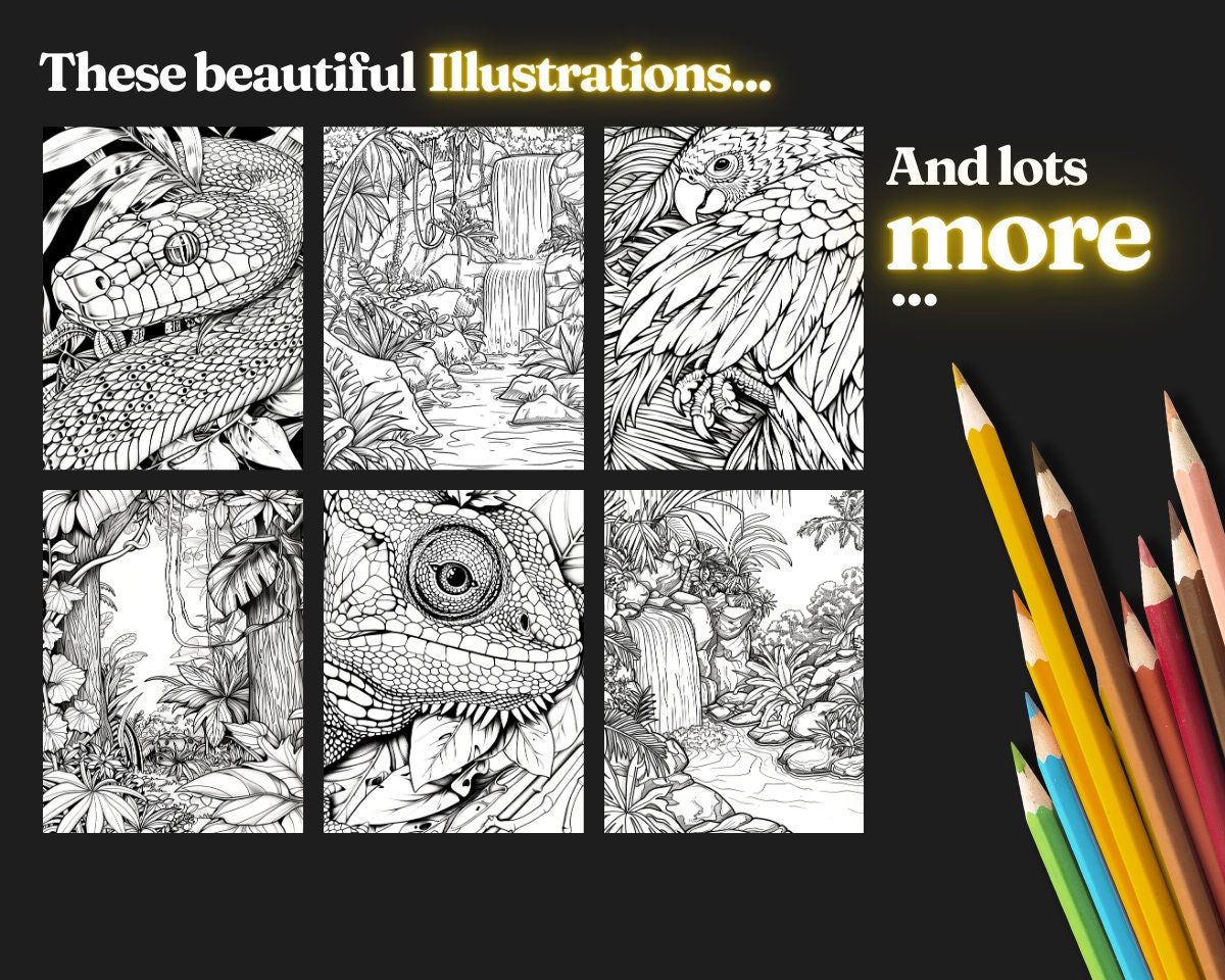 Jungle Coloring Book 50 Jungle Coloring Pages for Adults & Teens ...