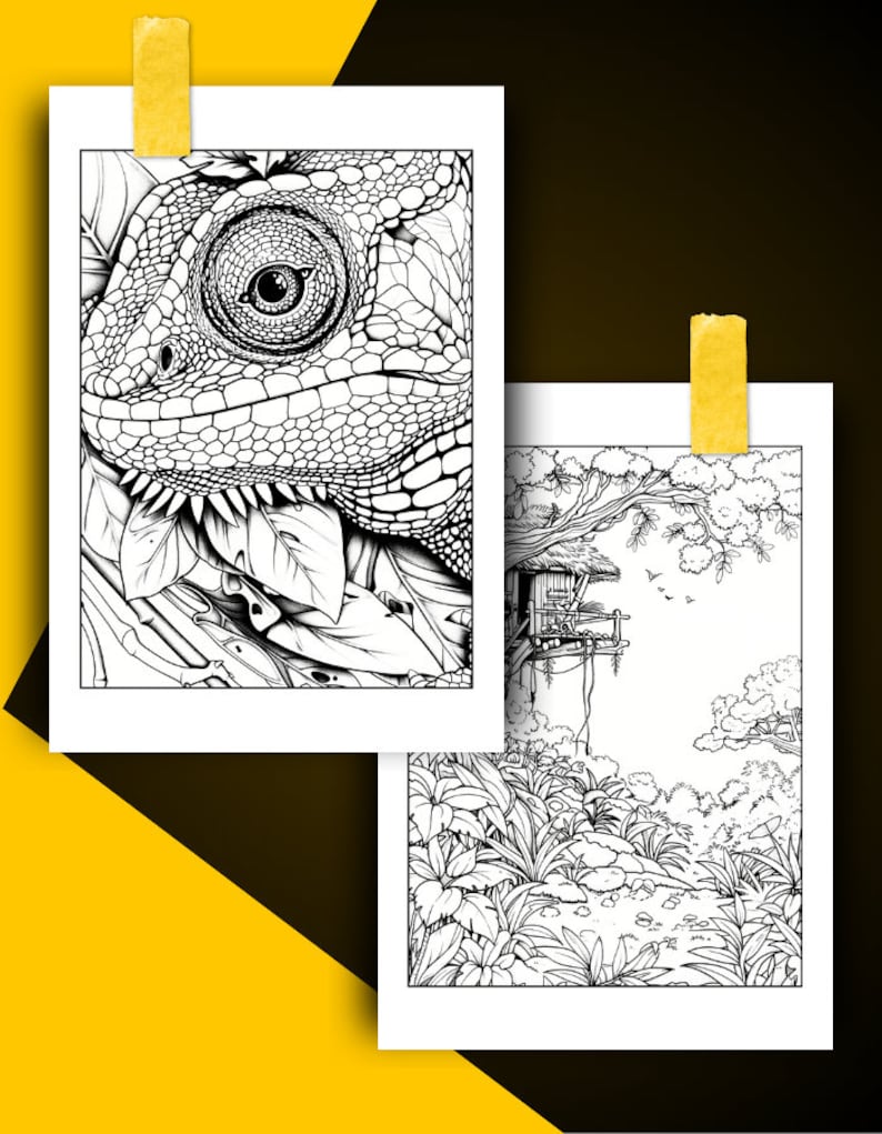 Jungle Coloring Book - 50 Jungle Coloring Pages for Adults & Teens ...