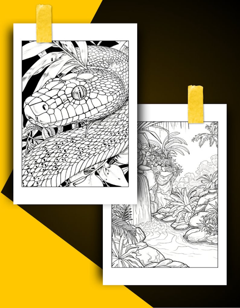 Jungle Coloring Book - 50 Jungle Coloring Pages for Adults & Teens ...