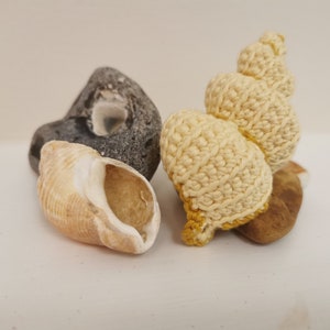 Seashell 1.0 Crochet Pattern, Amigurumi Pattern, Shell, Caracola - Etsy