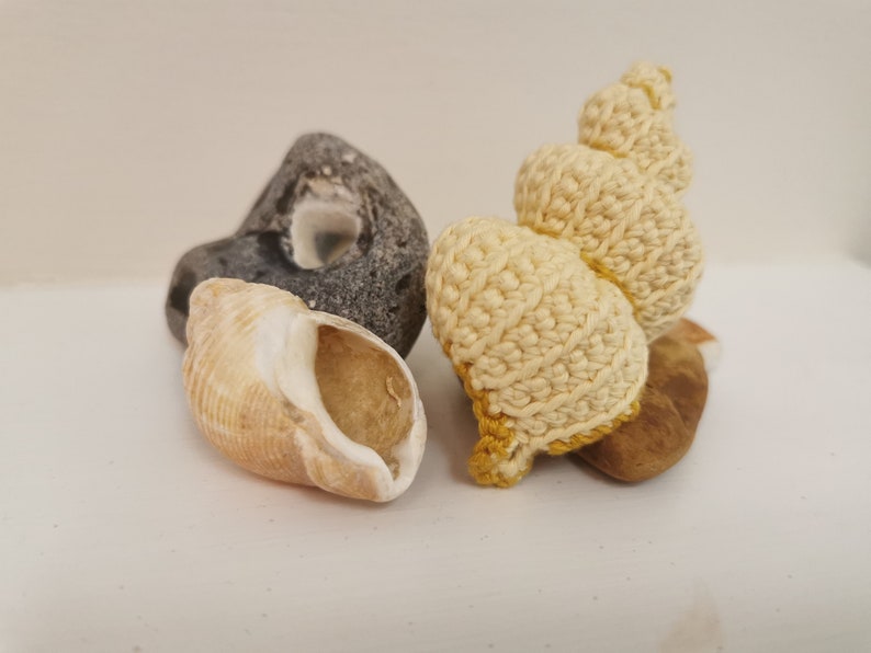 Seashell 1.0 Crochet Pattern, Amigurumi Pattern, Shell, Caracola - Etsy