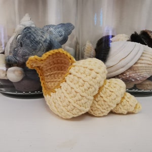 Seashell Crochet Pattern, Amigurumi Pattern, Shell, Caracola - Etsy