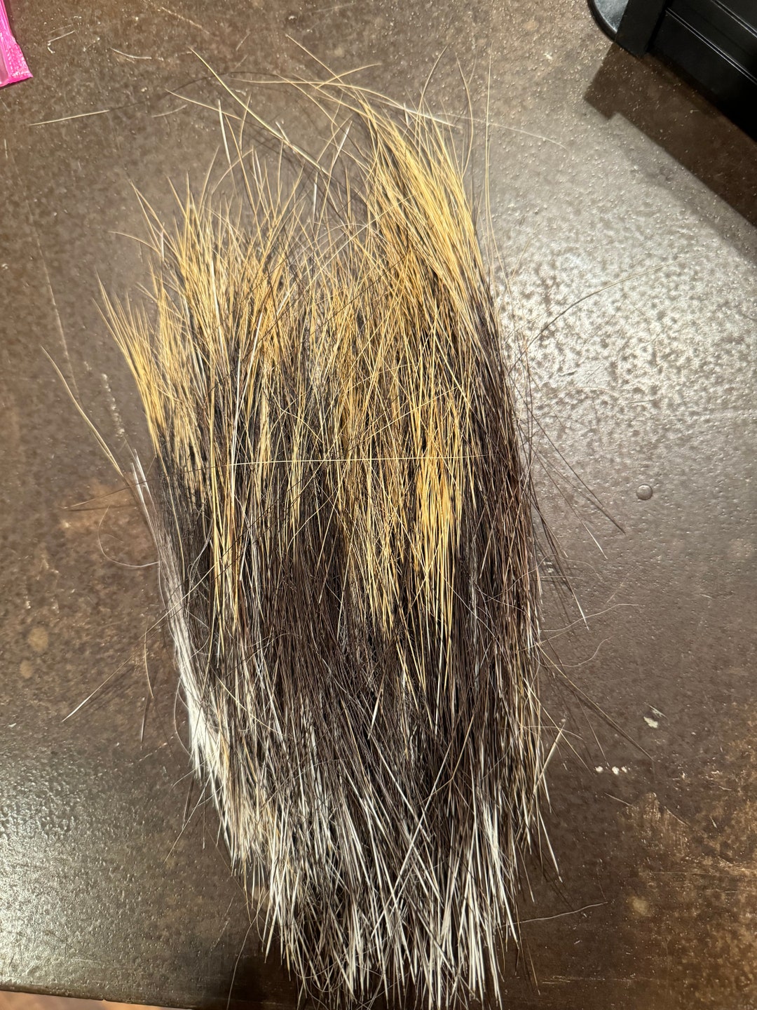 Porcupine Guard Hairs - Etsy