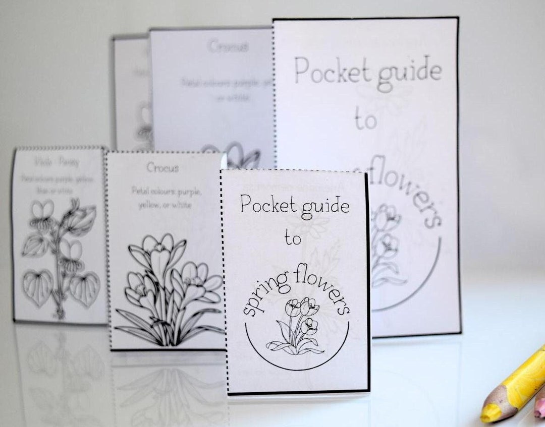 Spring Flower Pocket Guide Printable DIY Paper Craft for Kids Coloring ...