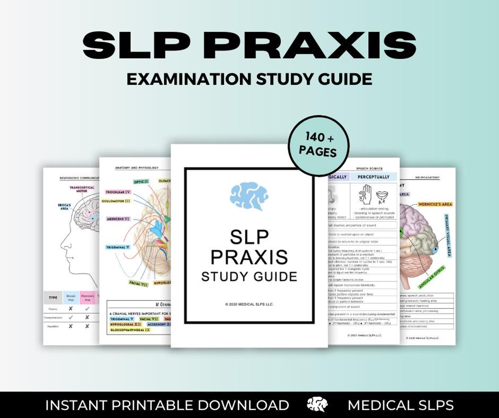 SLP Praxis Study Guide - Etsy