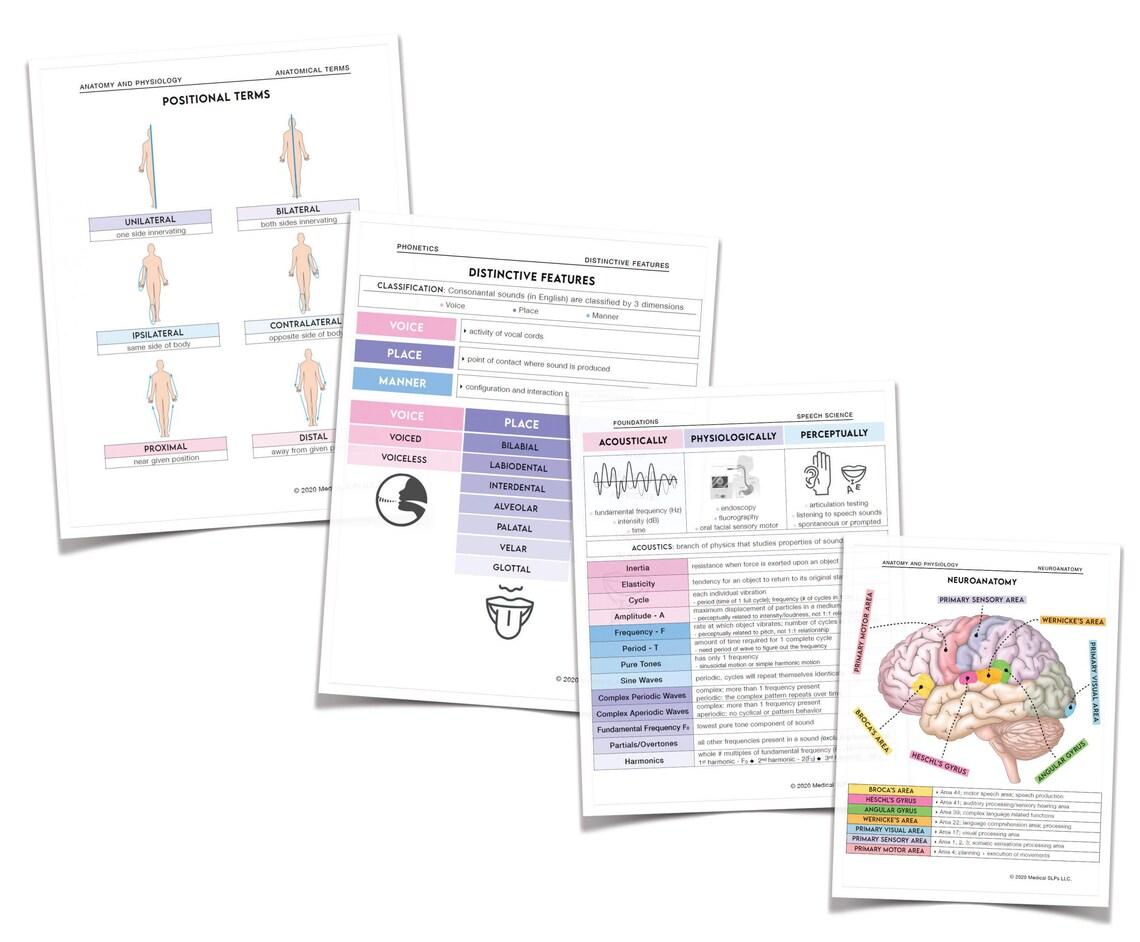 SLP Praxis Study Guide - Etsy